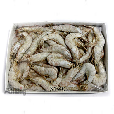 Vannamei Grey Prawns (1KG) – All big Frozen Food Pte Ltd